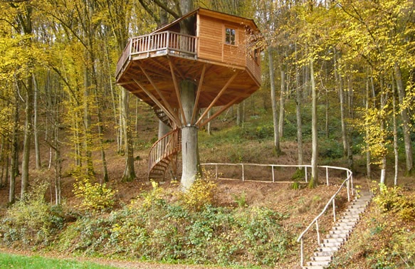 Faszinierend Baumhaus Hotel Seemuhle Bildernull
